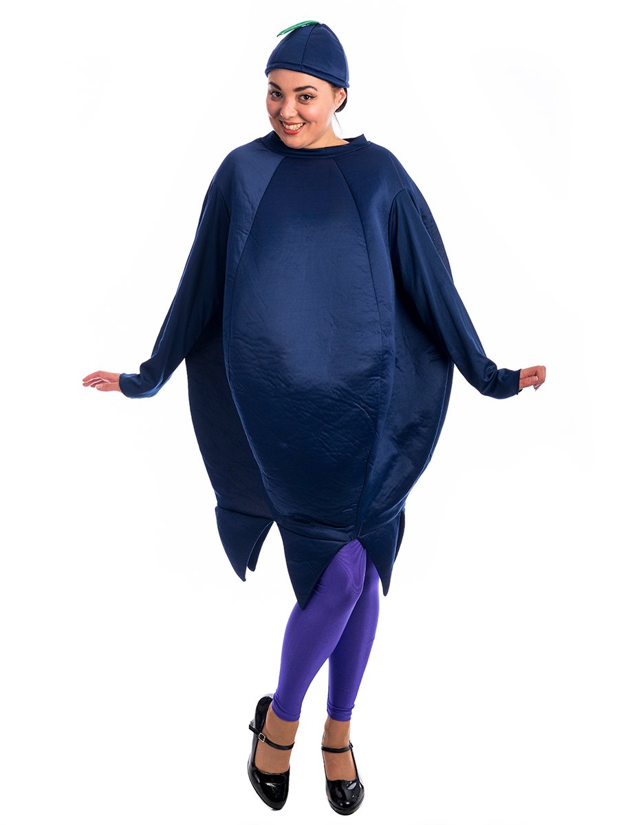 Blueberry Novelty Costume - Creative Costumes