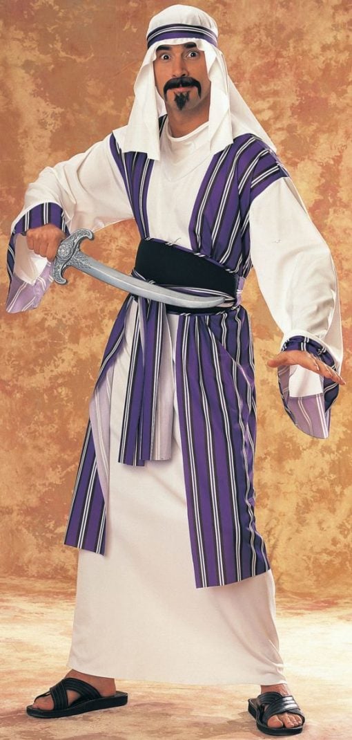 Adult Desert Prince Costume - a superhero that saves the night