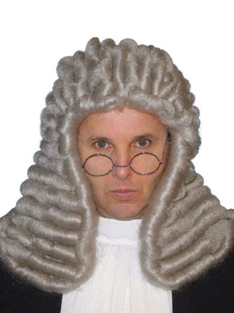 Deluxe Grey Judge Wig - complete your legal themed costume