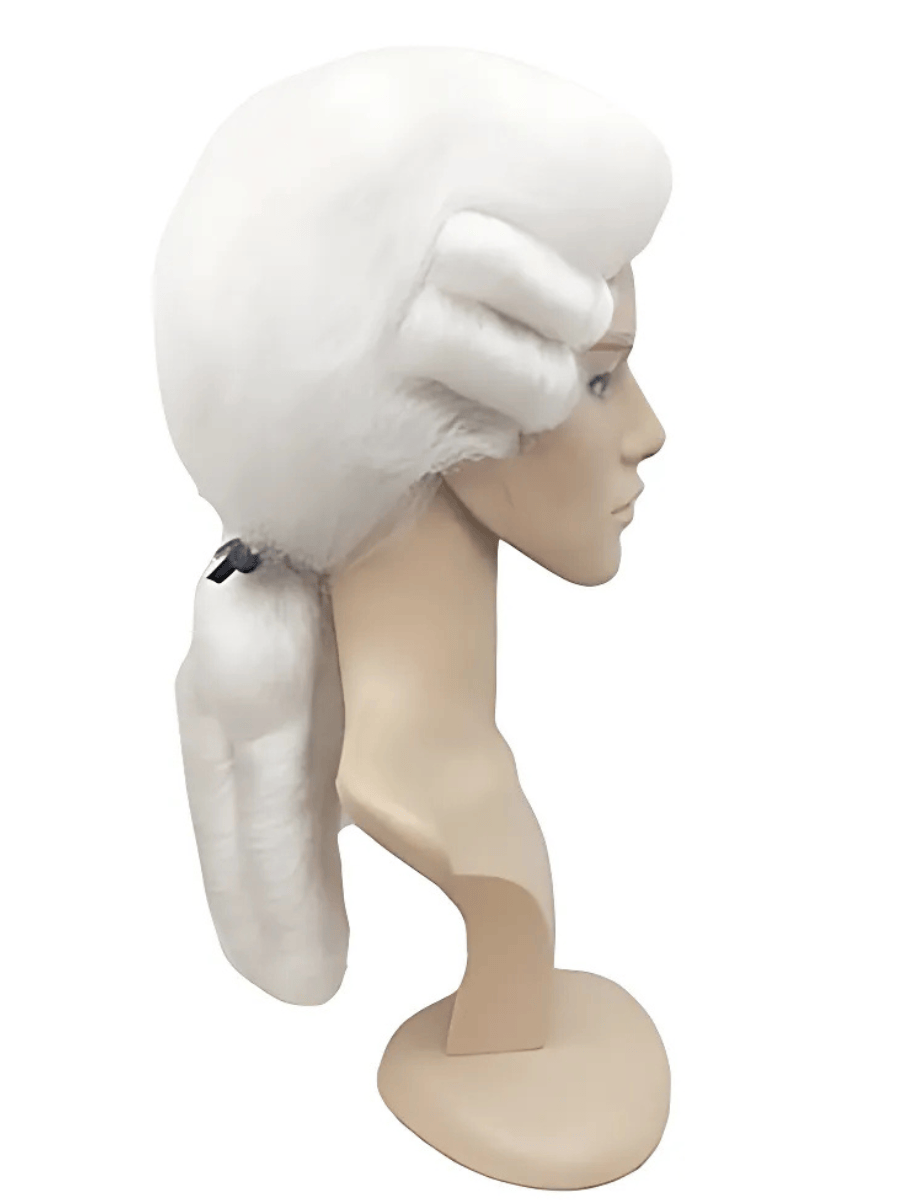 George Washington Wig - Popular Colonial Style Wig