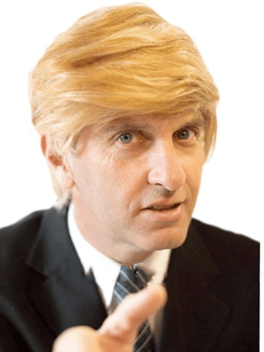 Mr President Donald Trump Wig - Creative Costumes
