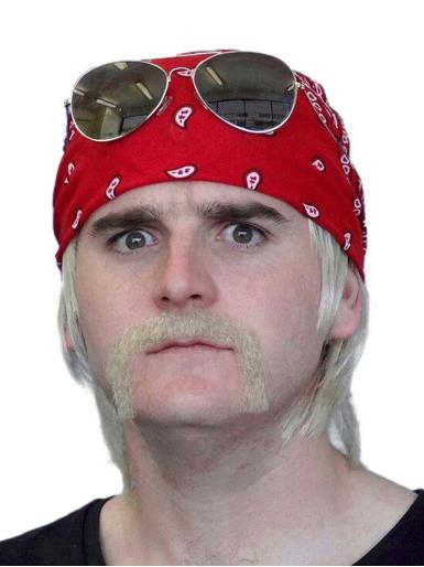 Hulk Hogan Moustache - Made of 100% human hair. Realistic.