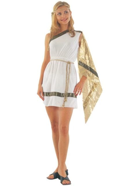 Ancient Toga Princess Costume - Adult - Creative Costumes