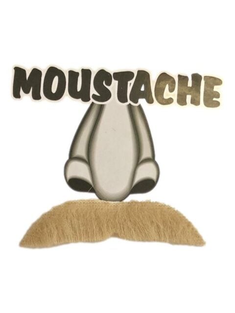 Blonde Fake Moustache - Creative Costumes