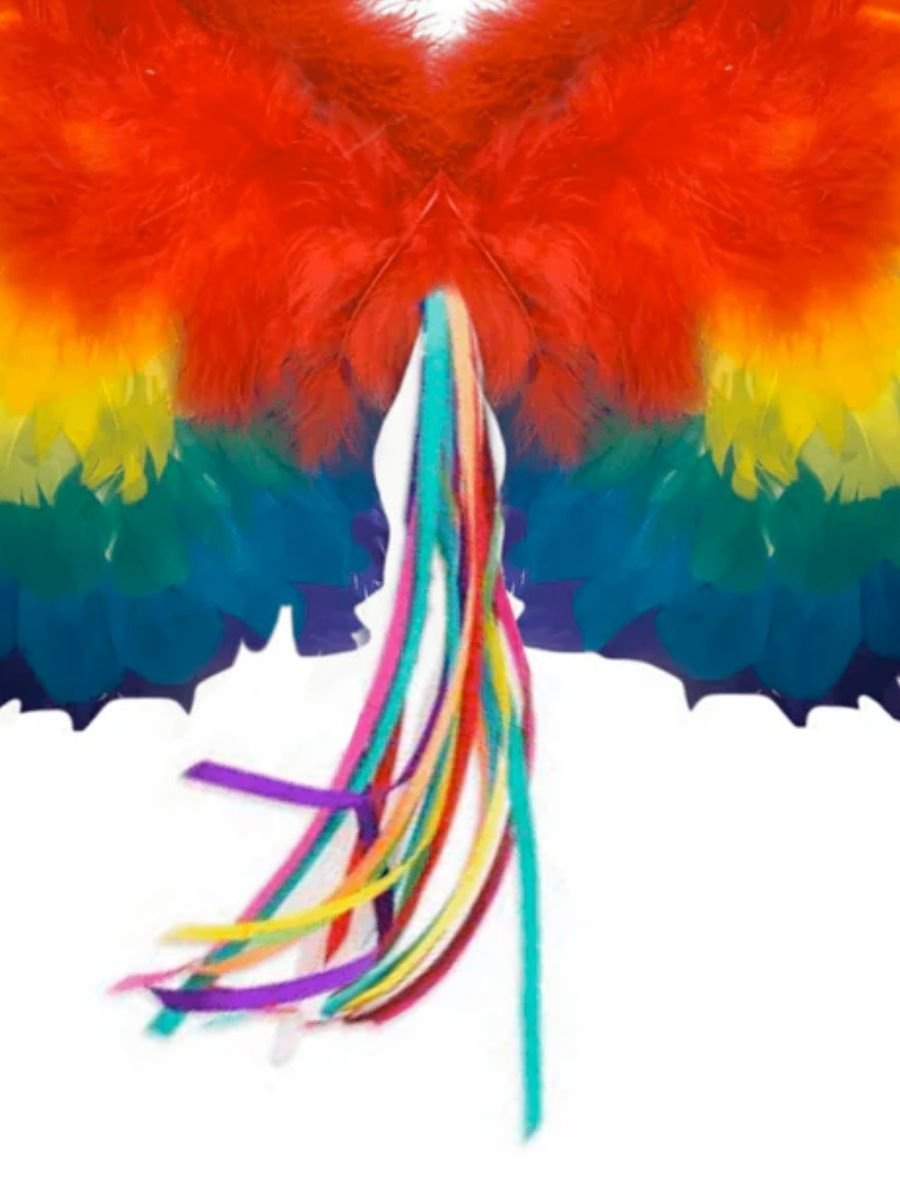 Small Rainbow Feather Wings - Creative Costumes