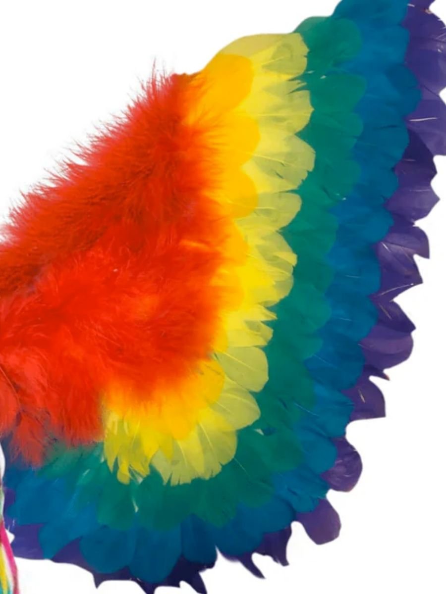 Small Rainbow Feather Wings - Creative Costumes