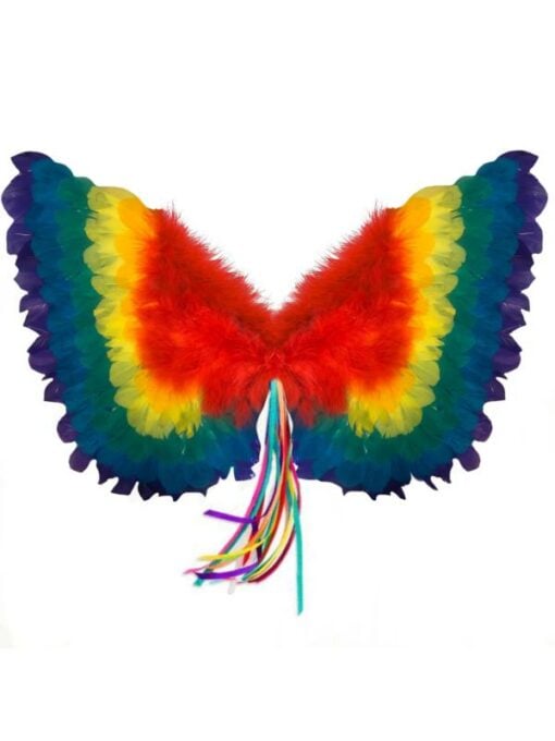 Rainbow Feather Wings