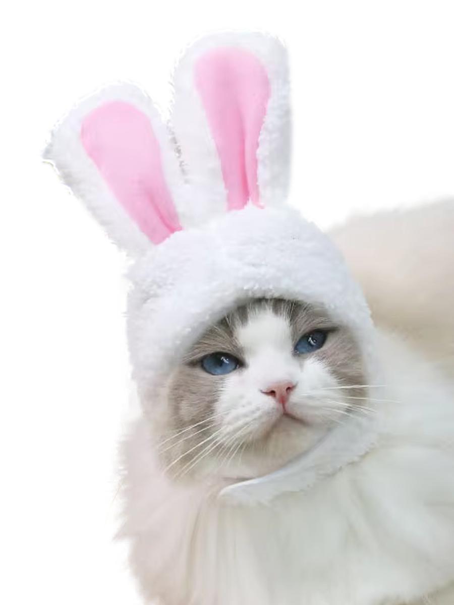 Easter Bunny Hood for Pets – 1 Soft and Adorable Costume Accessory