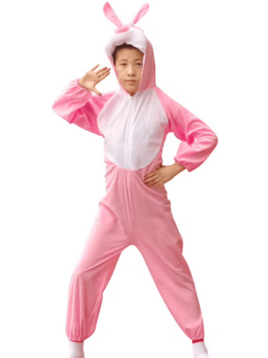 Kids Pink Bunny Rabbit Costume - Creative Costumes