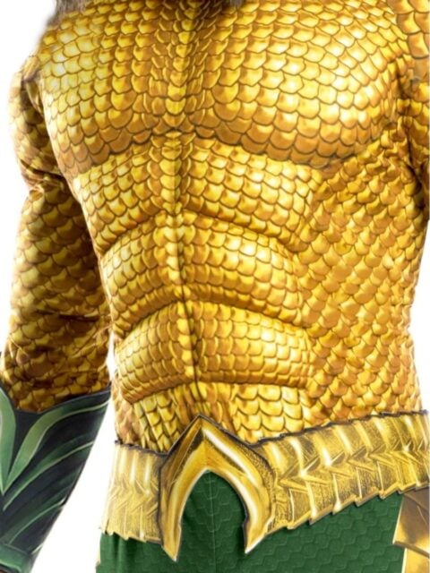 Deluxe Aquaman Costume - Creative Costumes