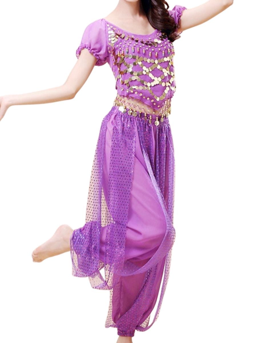Purple Belly Dancer Costume - Adult - Creative Costumes