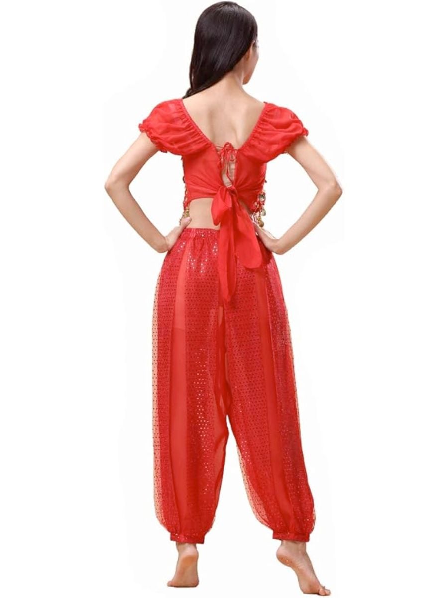 Red Belly Dancer Costume - Adult - Creative Costumes