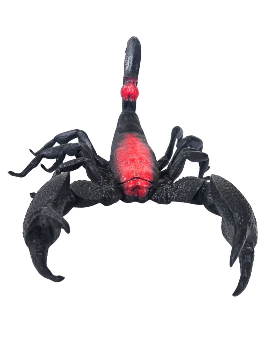Fake Scorpion Prop - Creative Costumes